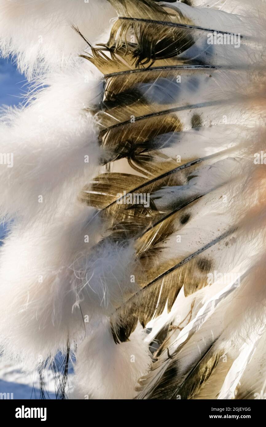 Falling Eagle Feather
