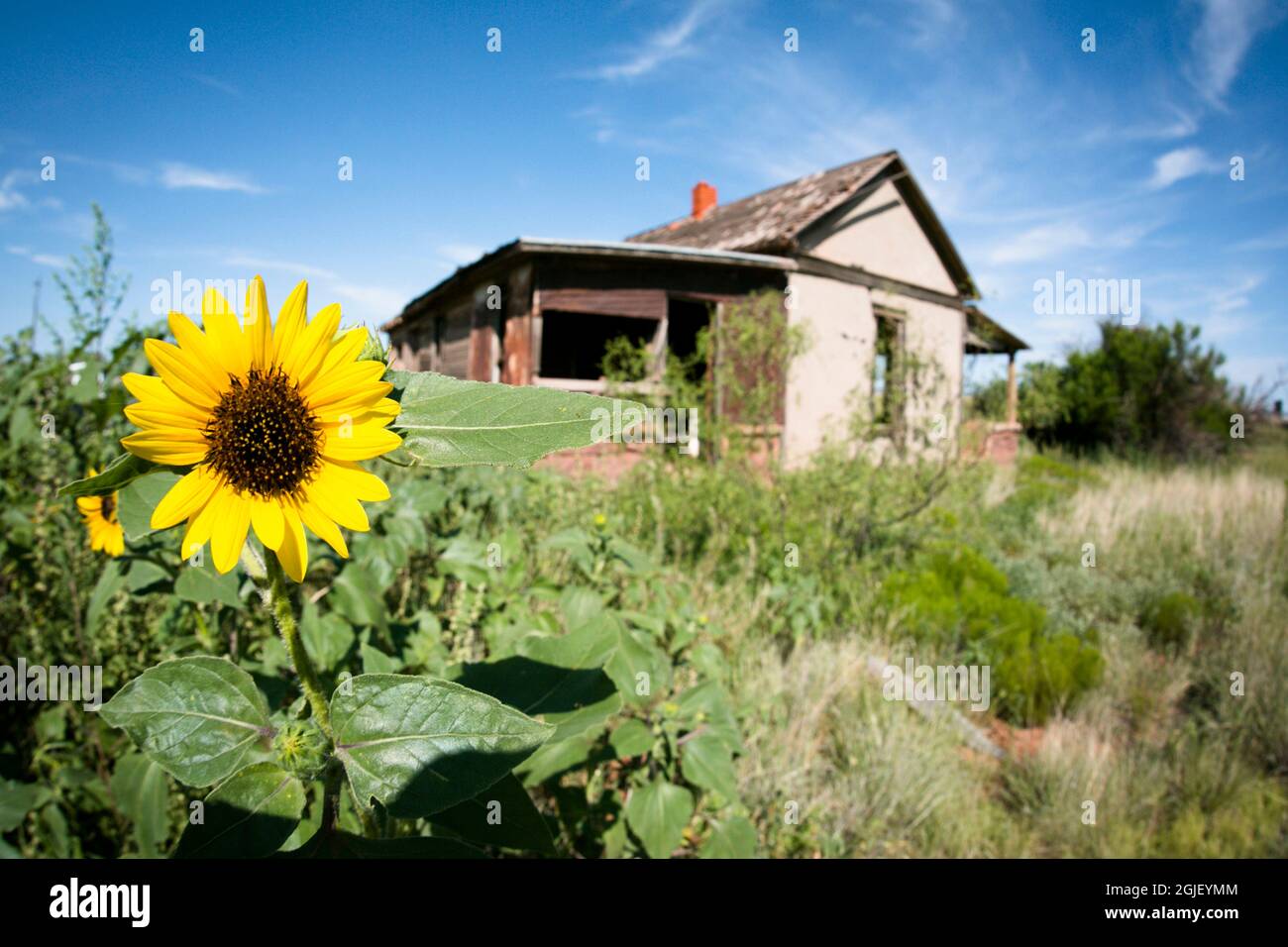 Cuervo route 66 hi-res stock photography and images - Alamy