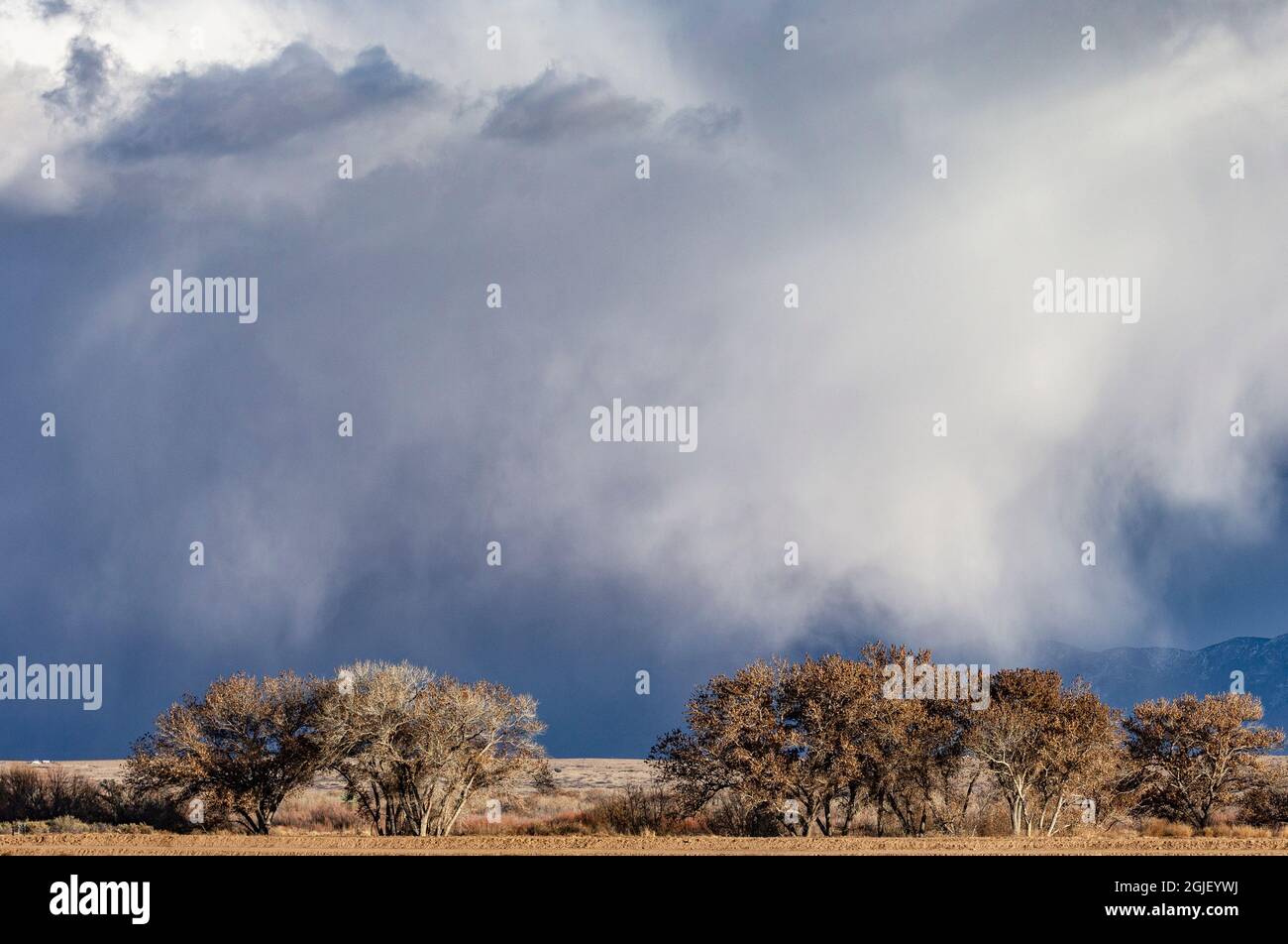 Manzano mountains hi-res stock photography and images - Alamy