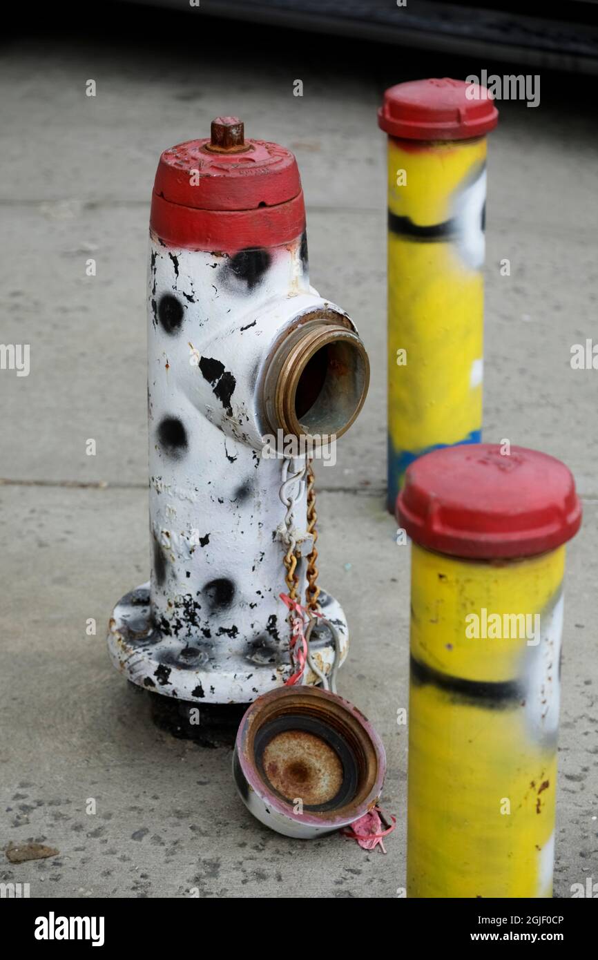 Painted fire hydrant Stock Photo - Alamy