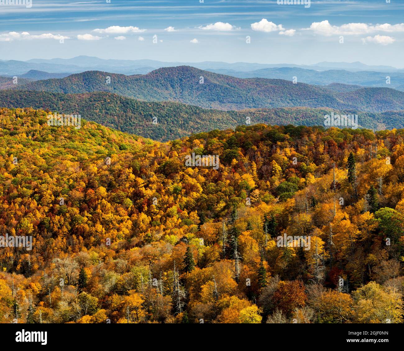 USA, North Carolina, Pisgah National Forest, View from the Blue Ridge ...