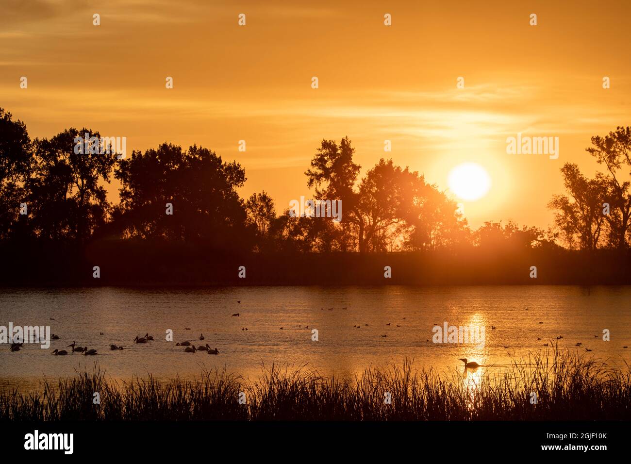 Fort ransom north dakota hi-res stock photography and images - Alamy