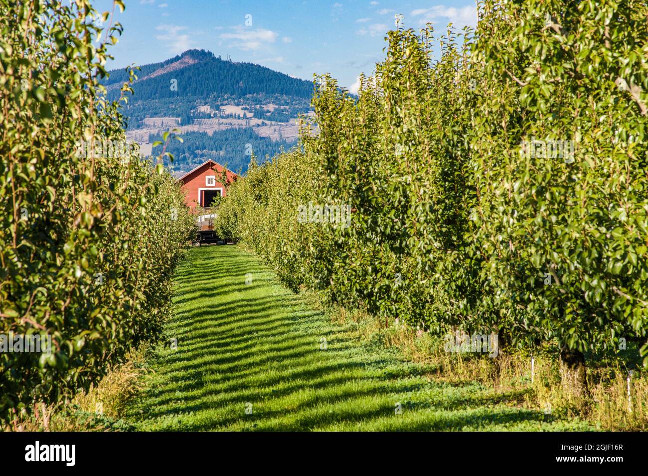 Hood river red barn hi-res stock photography and images - Alamy
