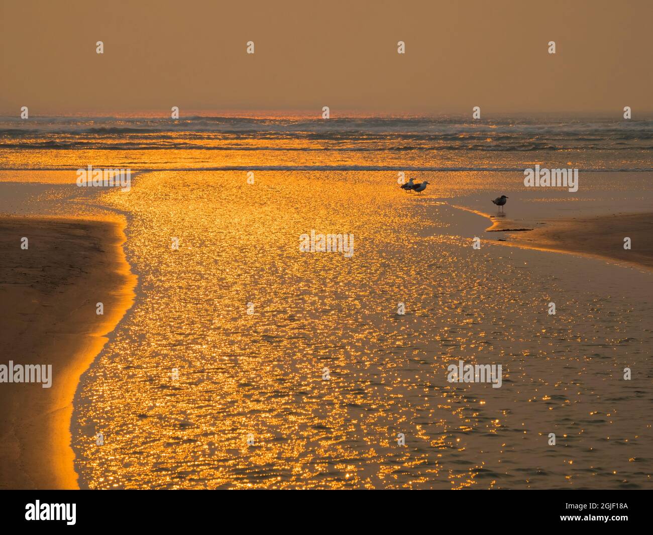 Oregon, Cannon Beach. Ocean view with warm reflected light Stock Photo ...