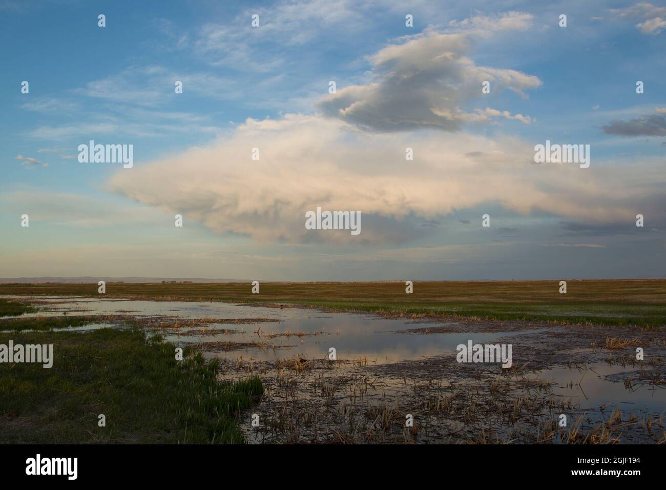 Spring storm clouds over wetland Stock Photo - Alamy