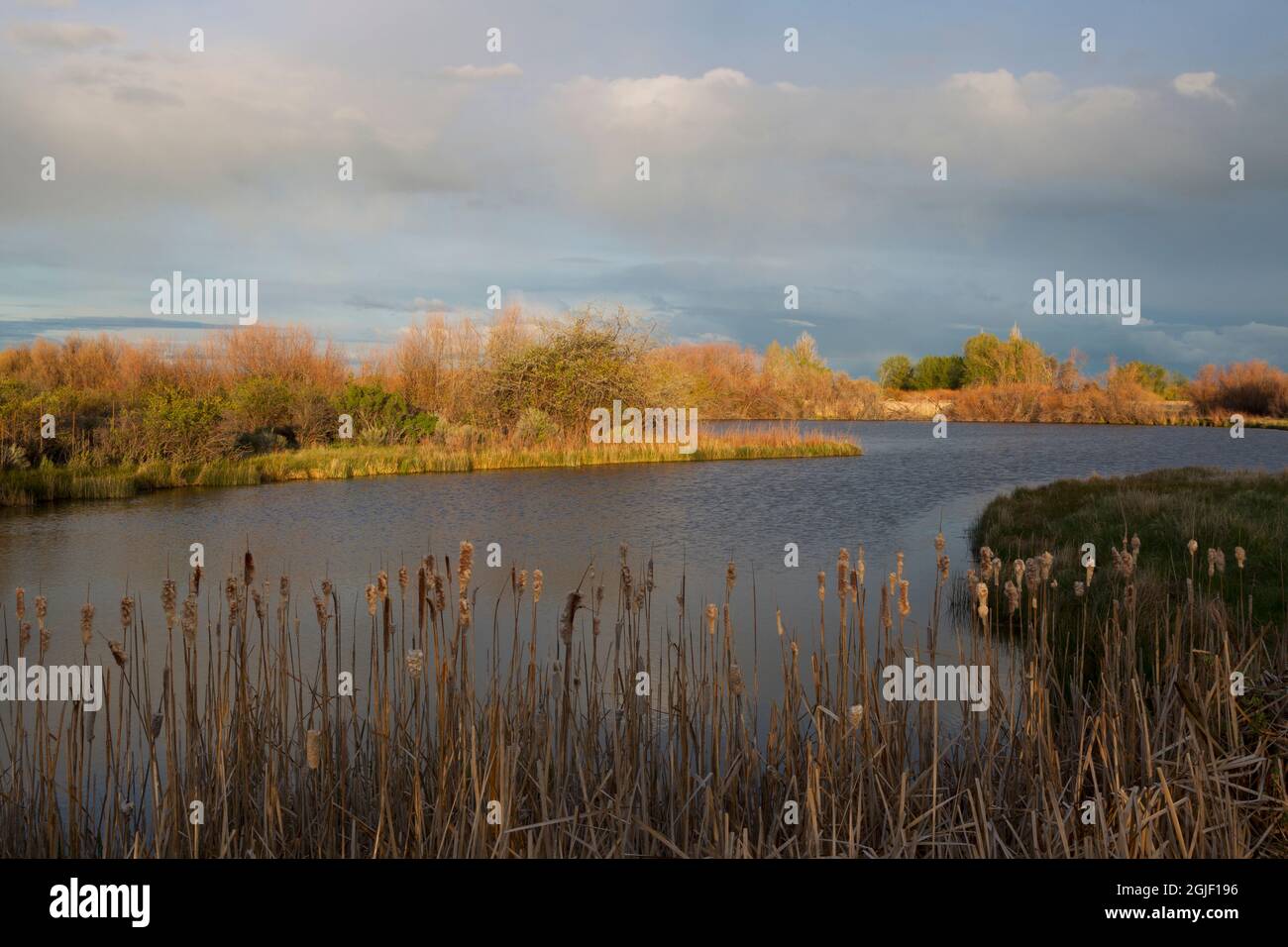 Malheur national wildlife refuge hi-res stock photography and images ...