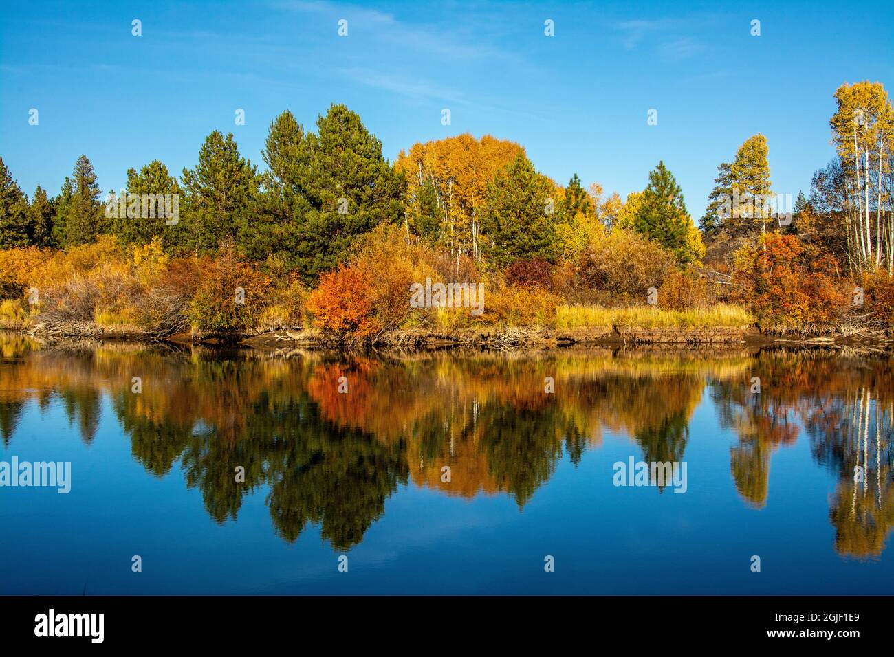 Dillon Falls Trail, Deschutes National Forest, Oregon, USA Stock Photo ...