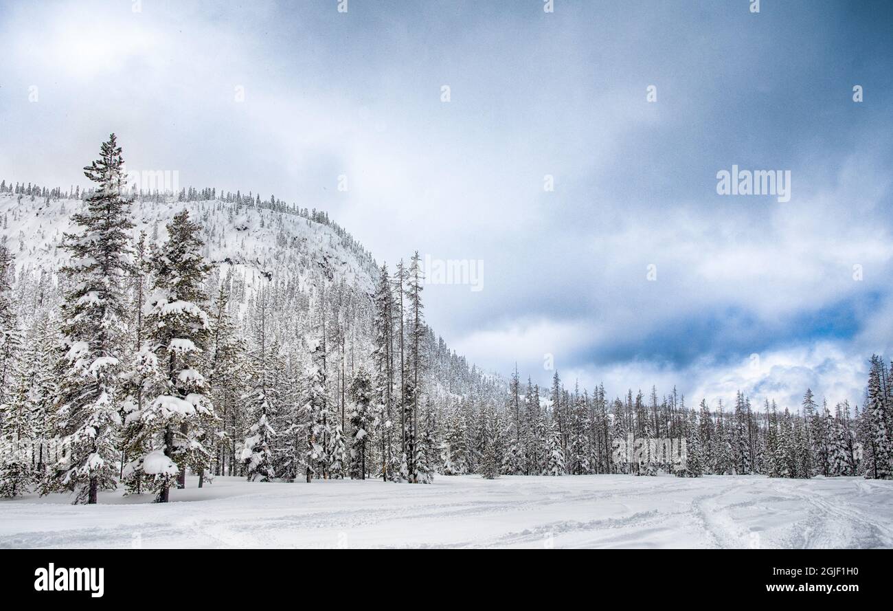 Ray benson hi-res stock photography and images - Alamy