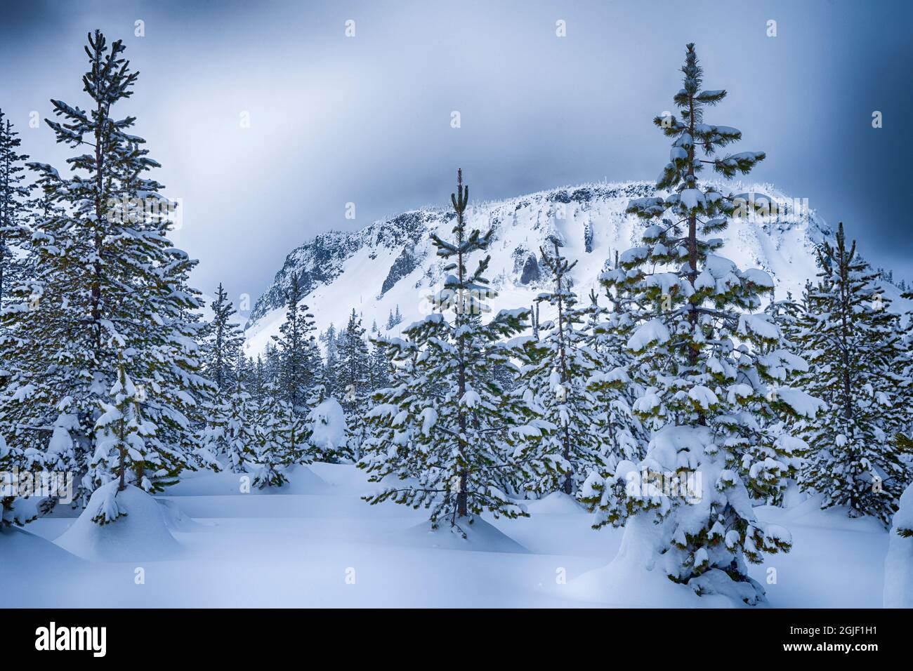 Sno park hi-res stock photography and images - Alamy