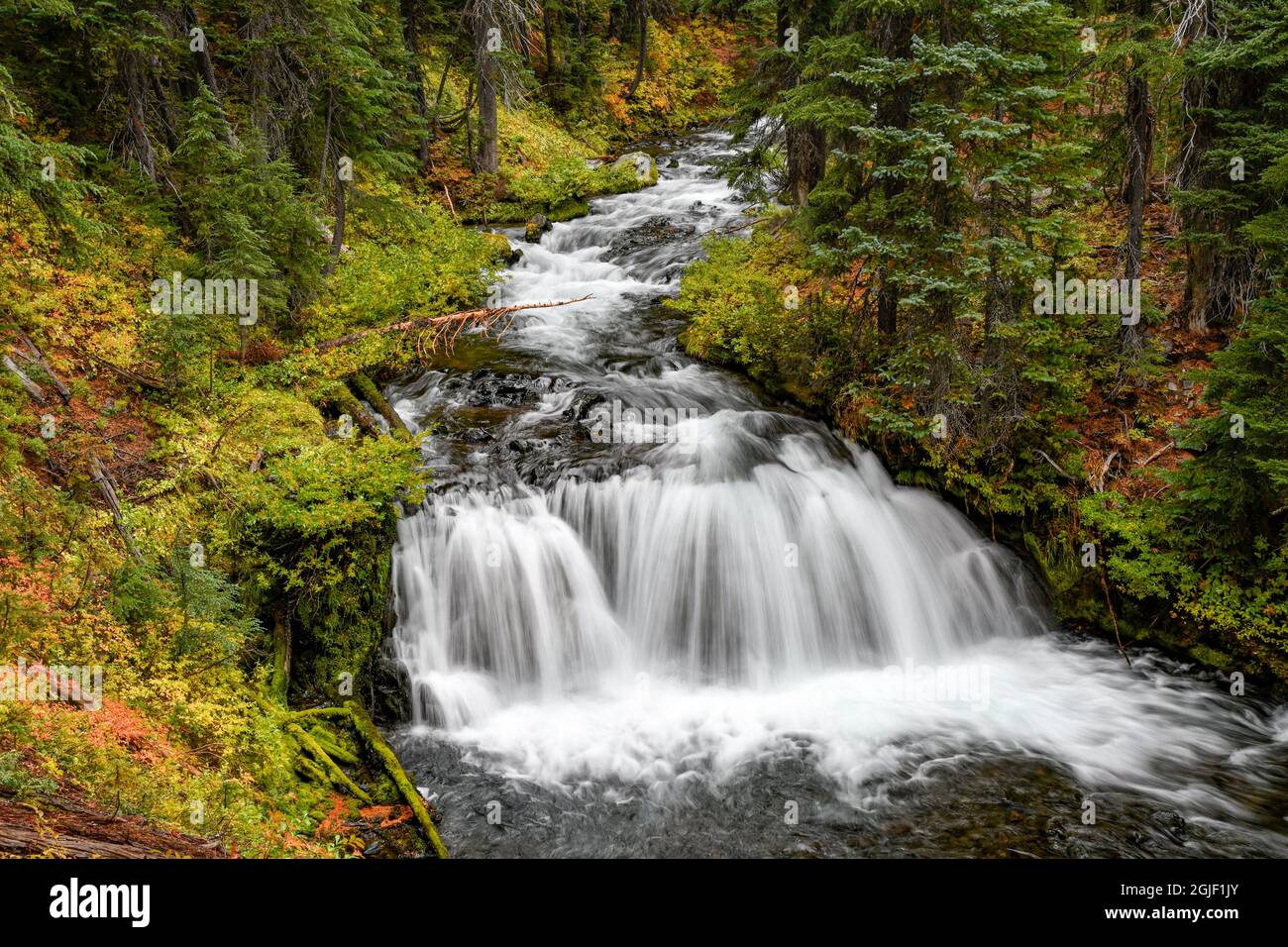 Fall Creek Falls, Deschutes National Forest, Oregon Stock Photo - Alamy