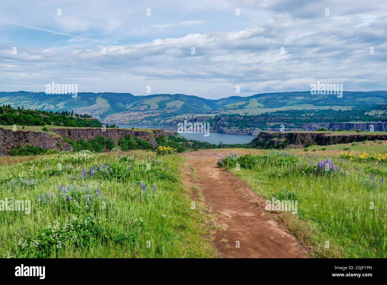 USA, Oregon. Tom McCall Nature Preserve, Rowena Plateau trail Stock ...