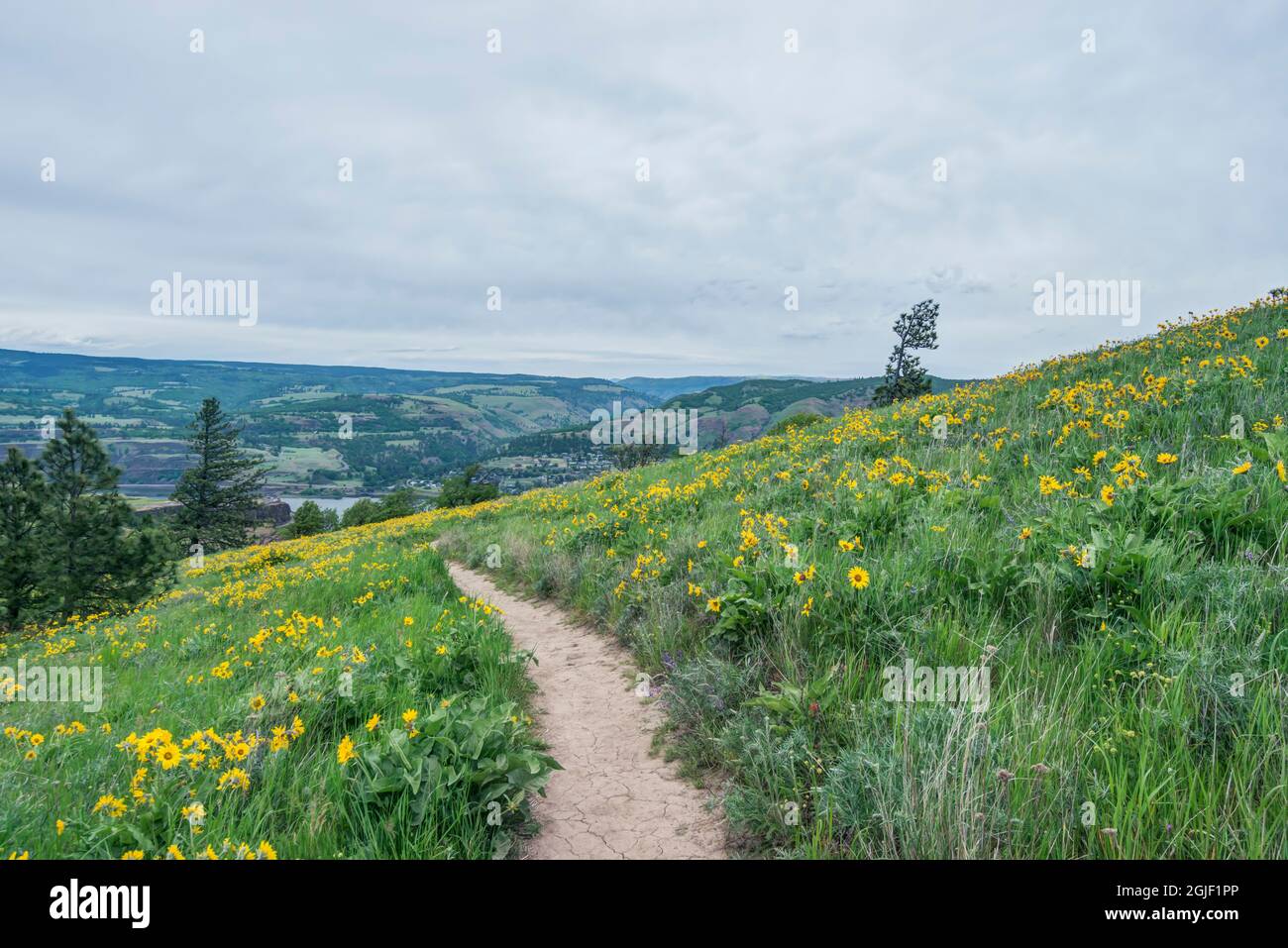 Tom mccall nature preserve oregon hi-res stock photography and images ...