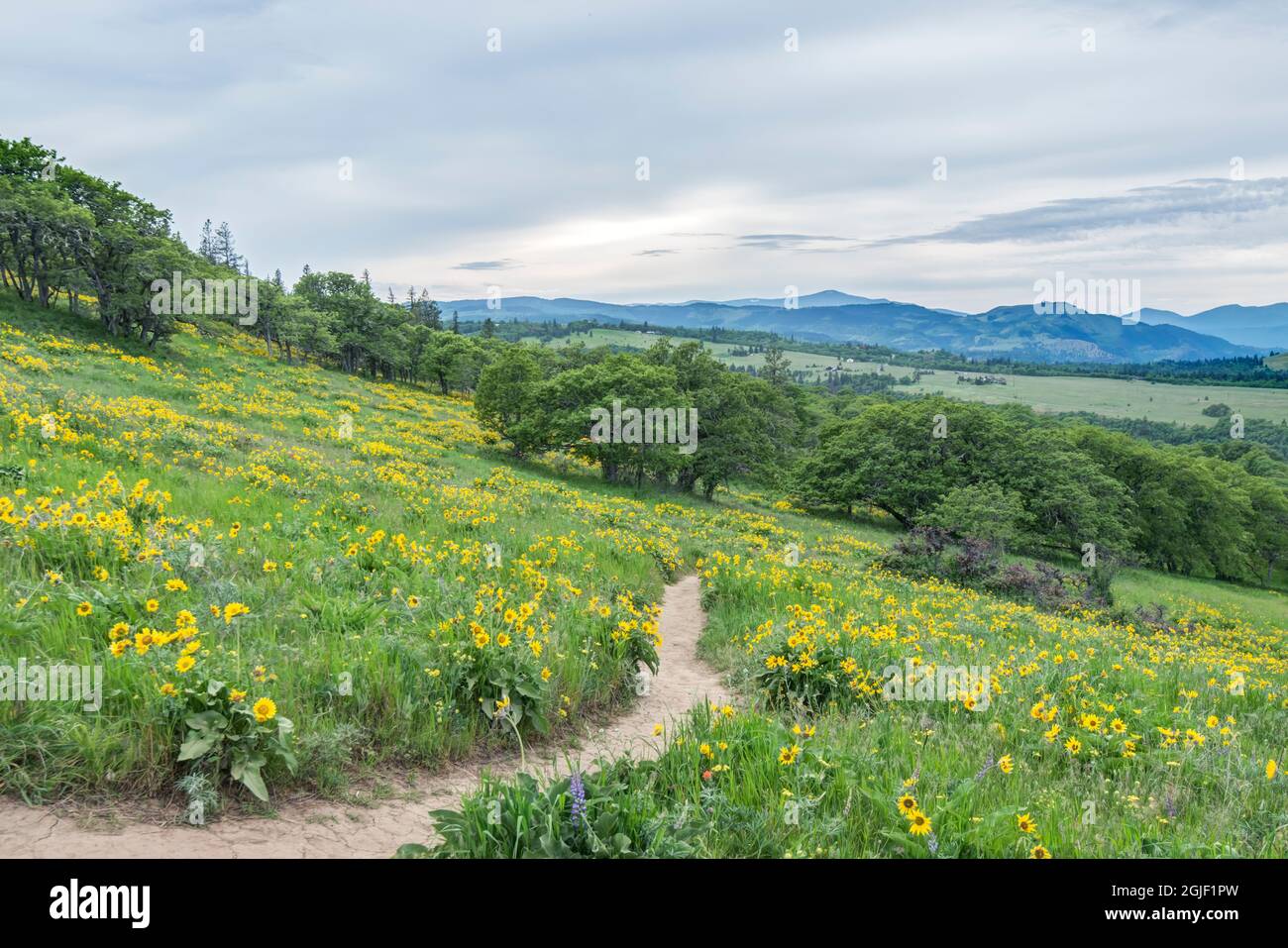 USA, Oregon. Tom McCall Nature Preserve, Rowena Crest Trail Stock Photo ...