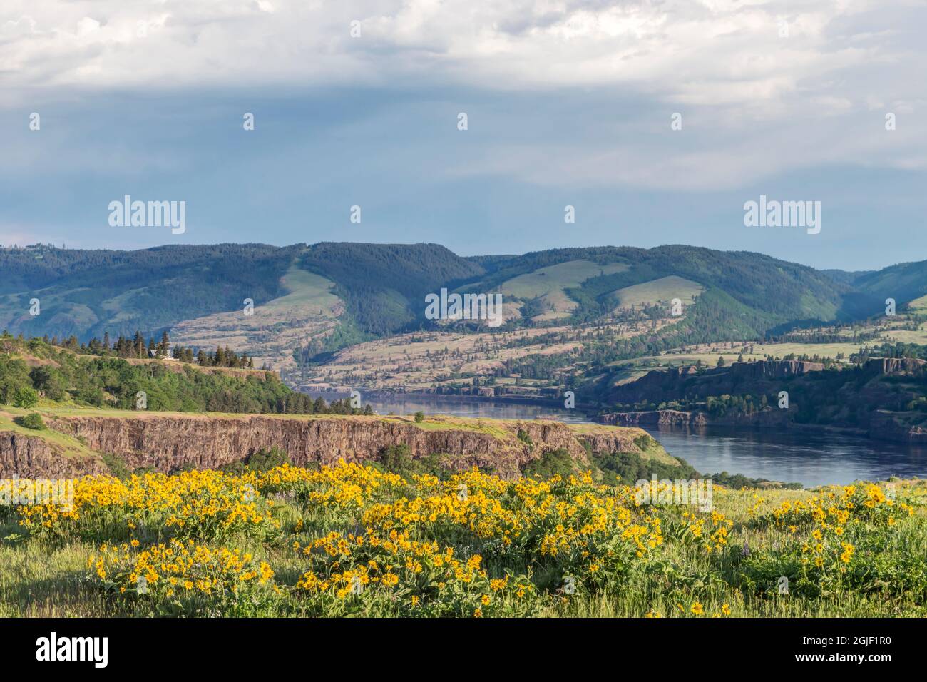 Mccall nature preserve hi-res stock photography and images - Alamy