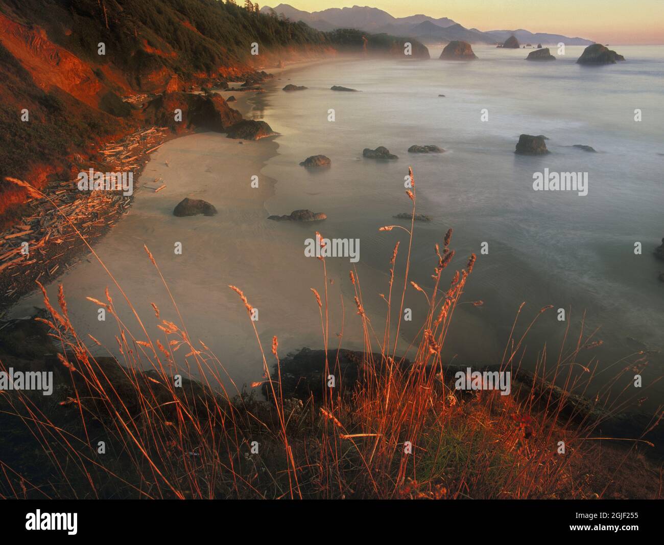Cannon beach oregon coast hi-res stock photography and images - Alamy