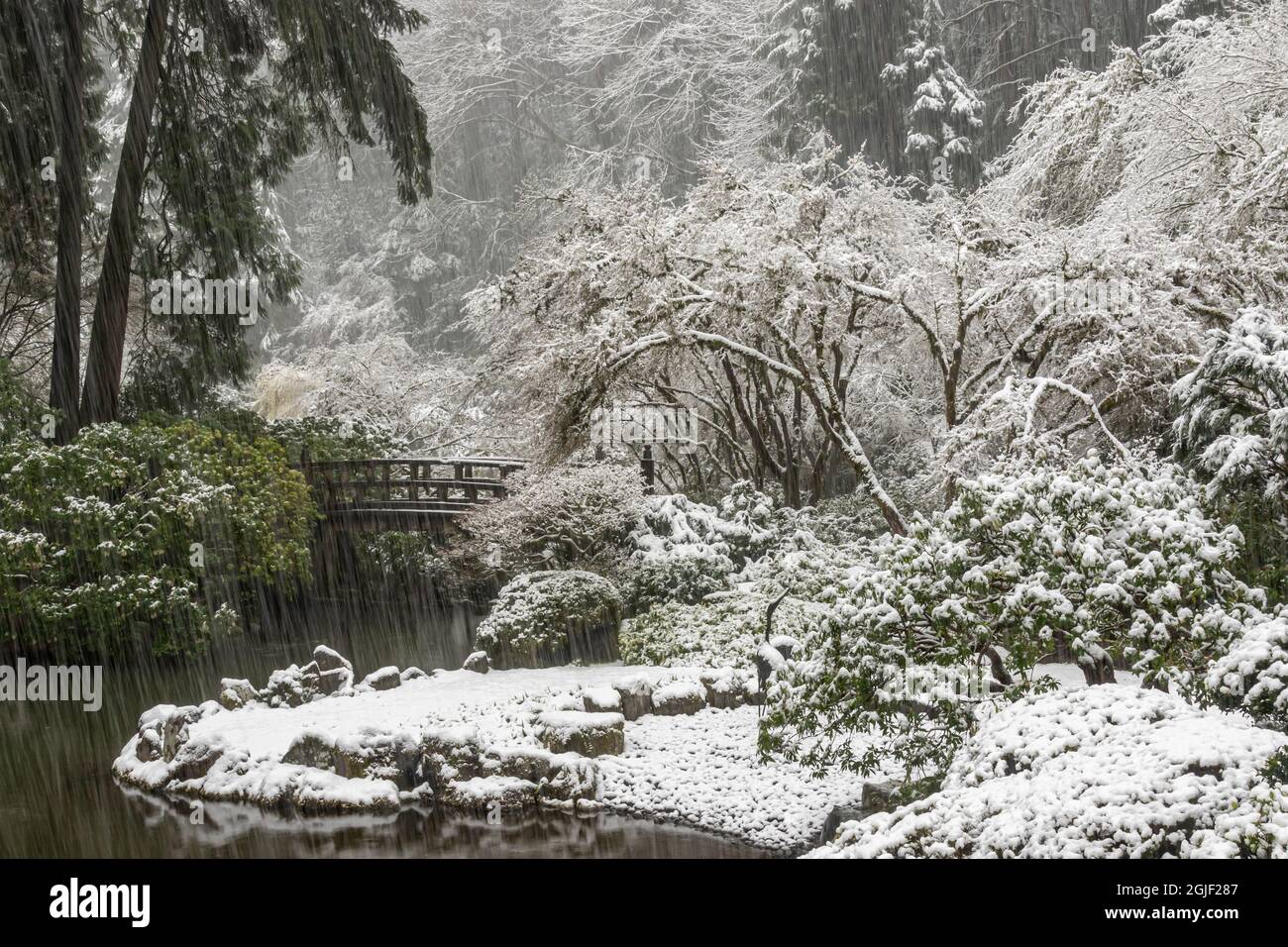 Portland Japanese Garden Hi Res Stock Photography And Images Alamy