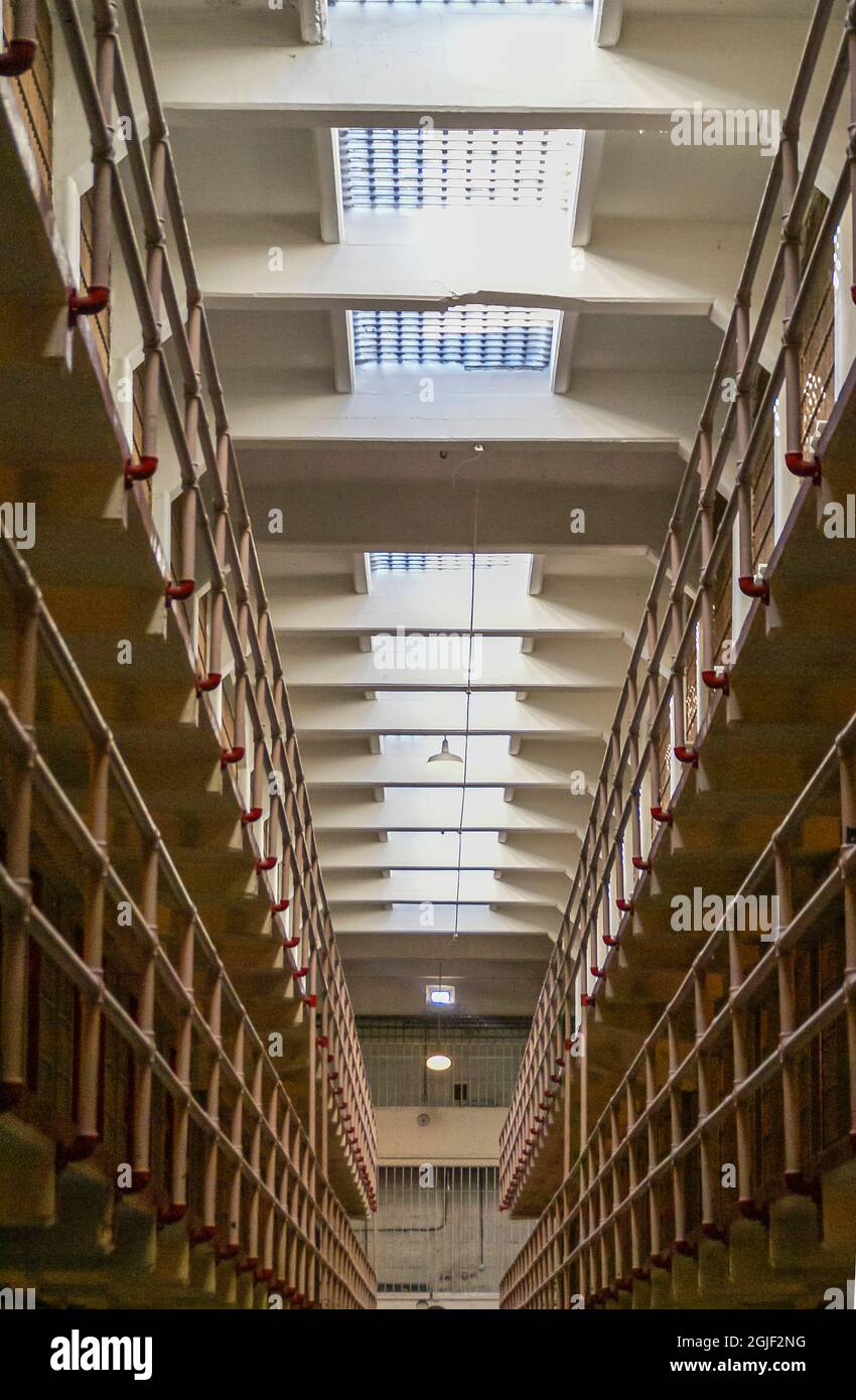 Layers of cells hi-res stock photography and images - Alamy