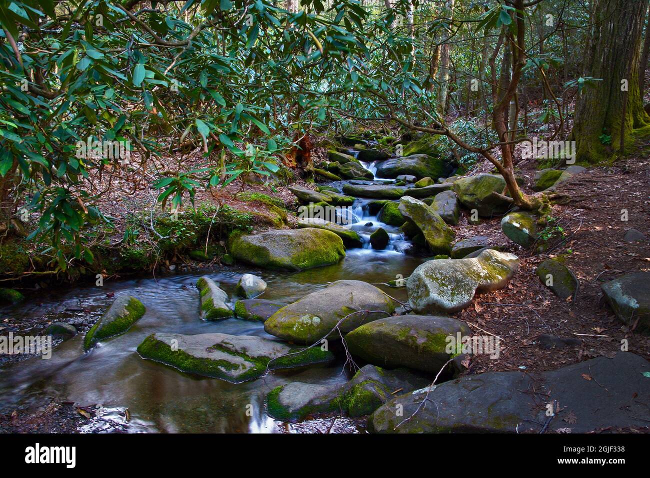 Water Falling over Boulders on Roaring Fork Motor Nature Trail Stock ...