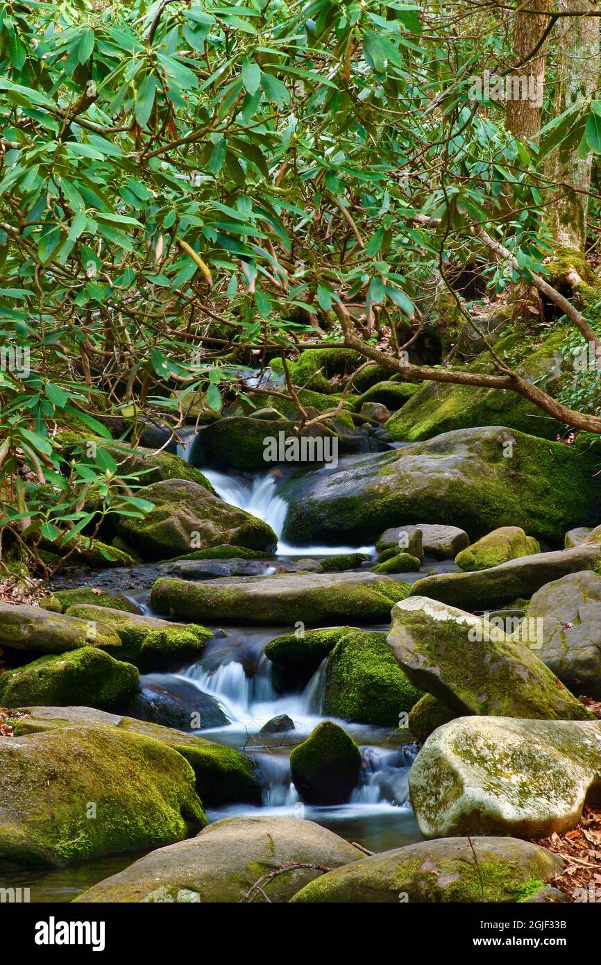 Water Falling over Boulders on Roaring Fork Motor Nature Trail Stock ...