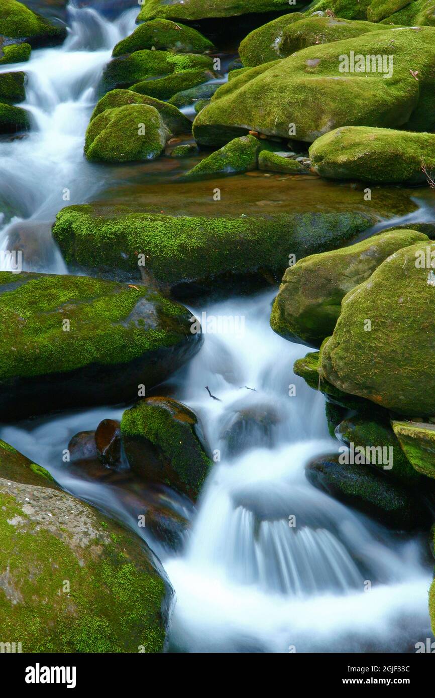 Water Falling over Boulders on Roaring Fork Motor Nature Trail Stock ...