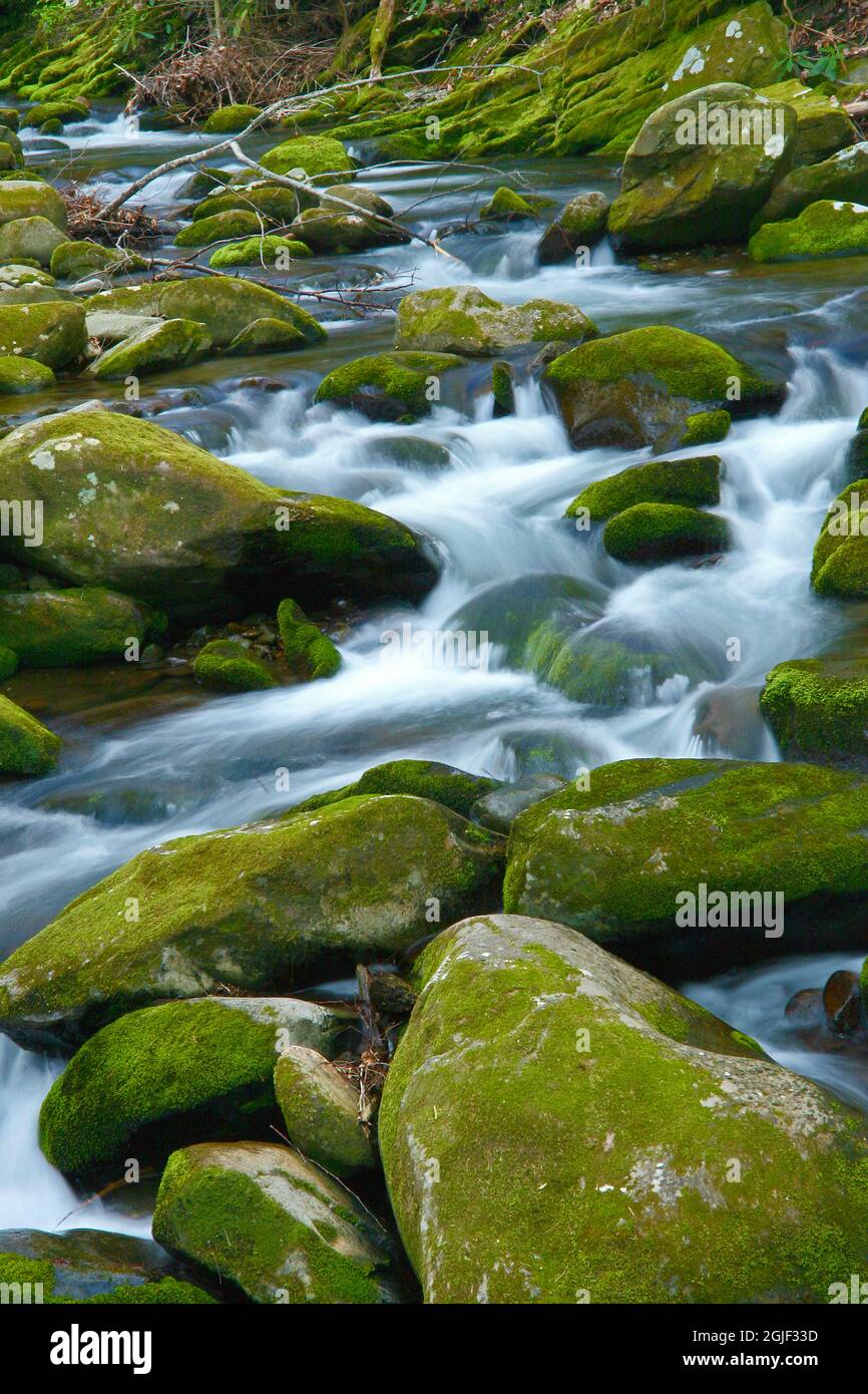 Water Falling over Boulders on Roaring Fork Motor Nature Trail Stock ...
