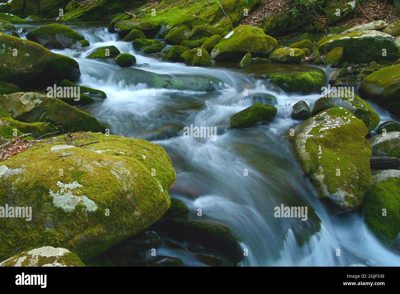 Water Falling over Boulders on Roaring Fork Motor Nature Trail Stock ...