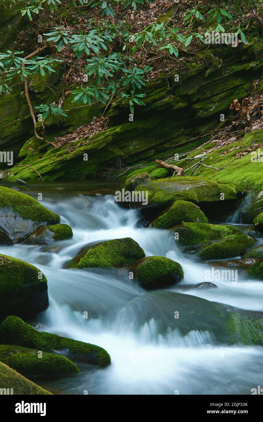 Water Falling over Boulders on Roaring Fork Motor Nature Trail Stock ...