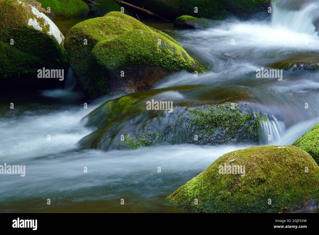 Water Falling over Boulders on Roaring Fork Motor Nature Trail Stock ...