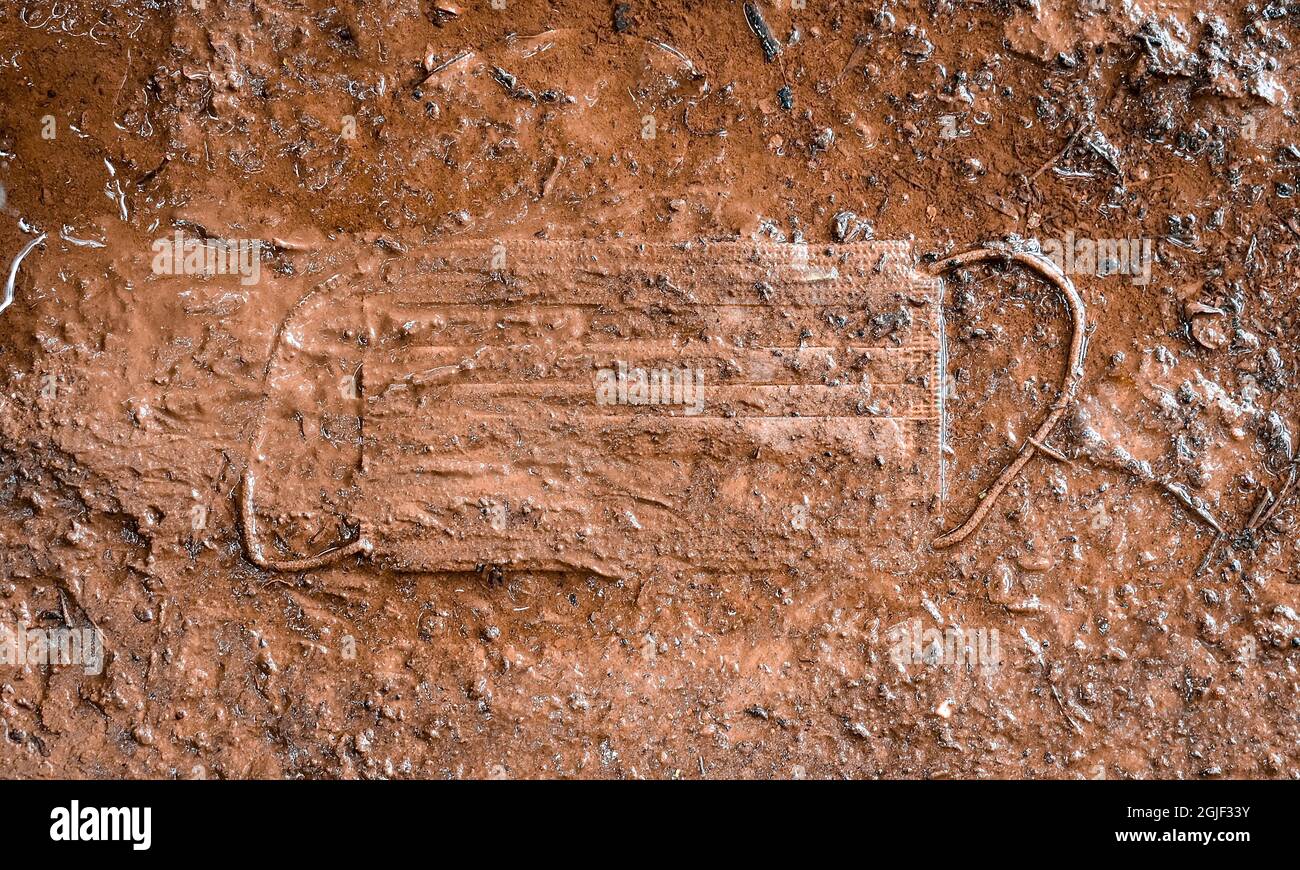 Disposable surgical mask discarded on muddy ground. Indisciplined ...