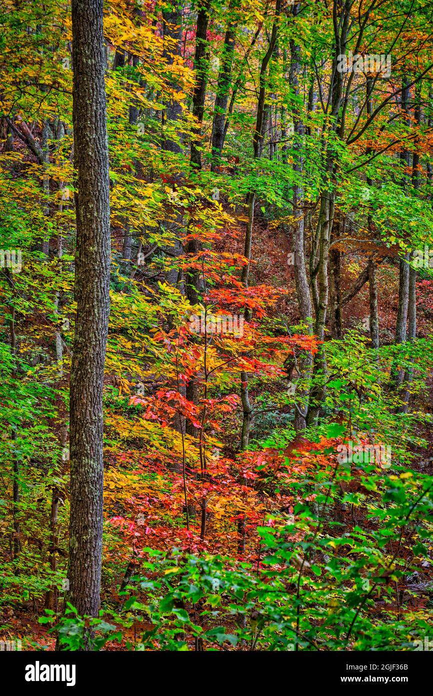 Great smokey mountains tennessee hi-res stock photography and images ...