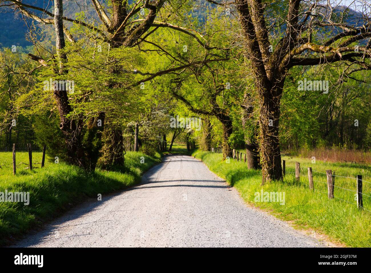 Joanne lane hi-res stock photography and images - Alamy