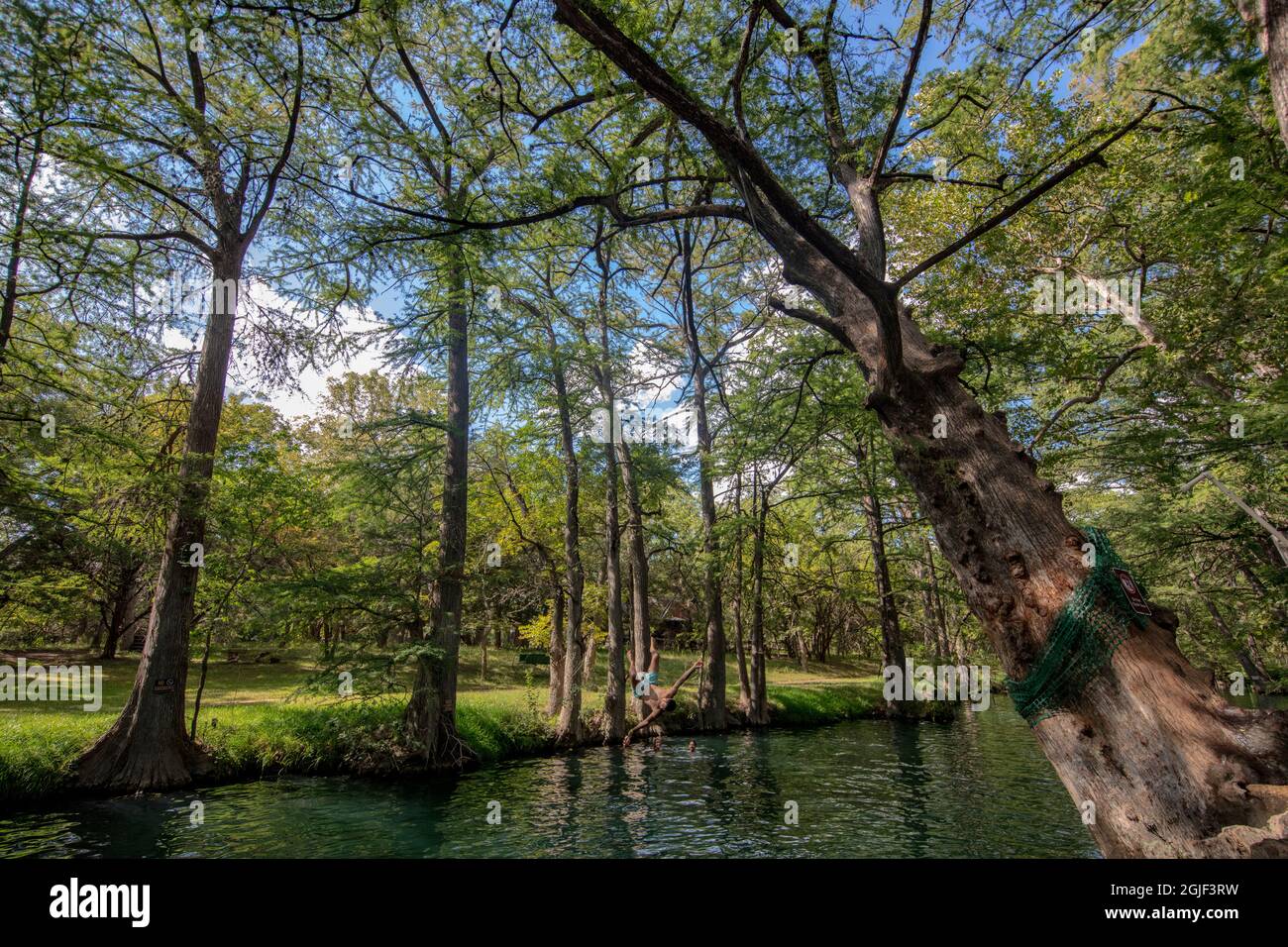 Rope Swing at the Blue Hole in Wimberley, Texas, USA Stock Photo - Alamy