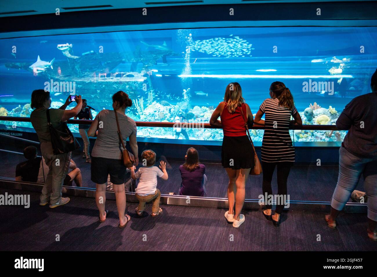 Visitors at shipwreck exhibit Stock Photo - Alamy