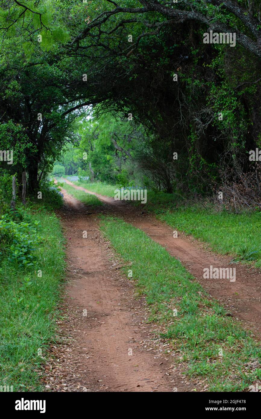 Farm road and pathway Stock Photo - Alamy