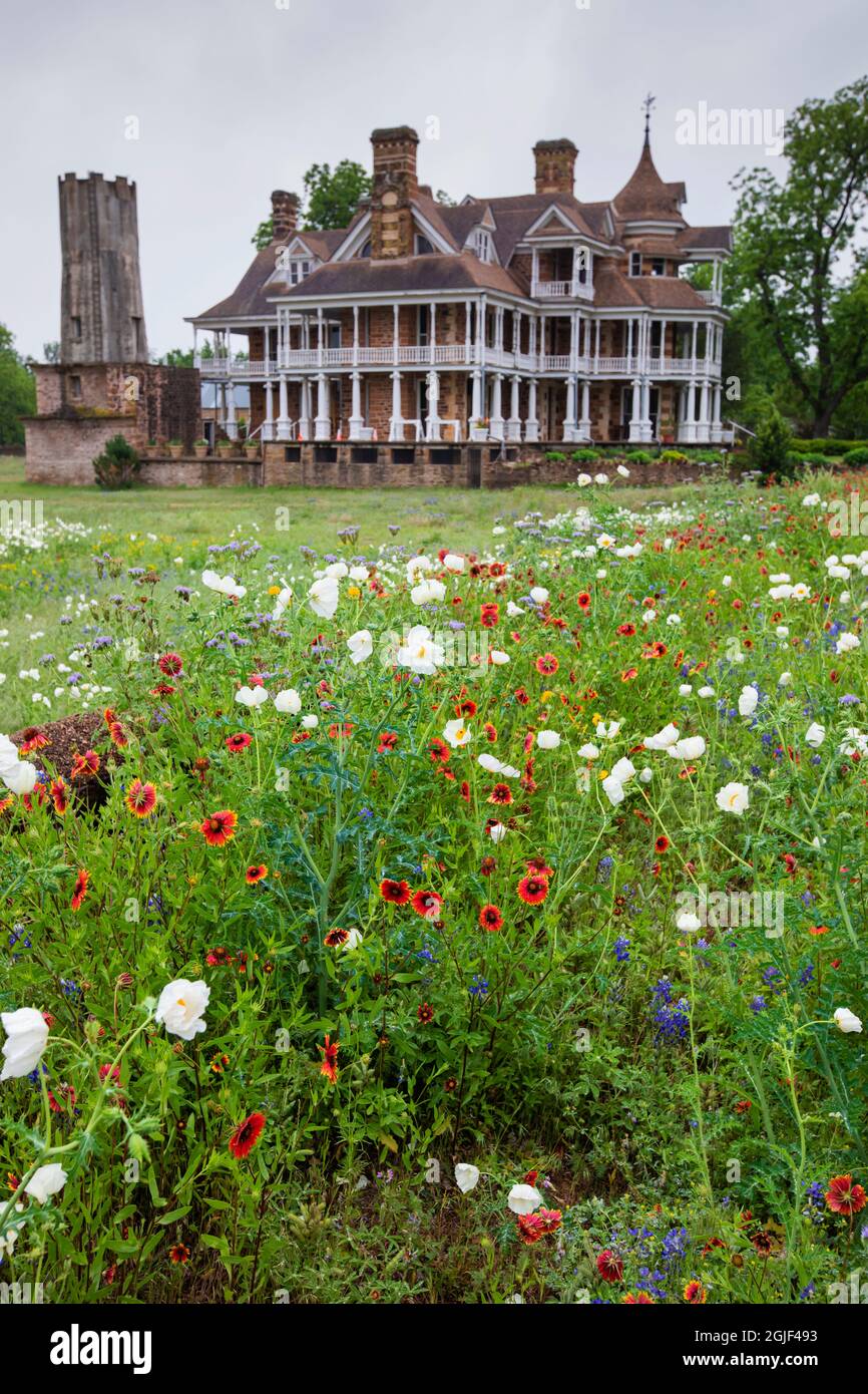 Historic Reynolds Seaquist House and wildflowers Stock Photo - Alamy