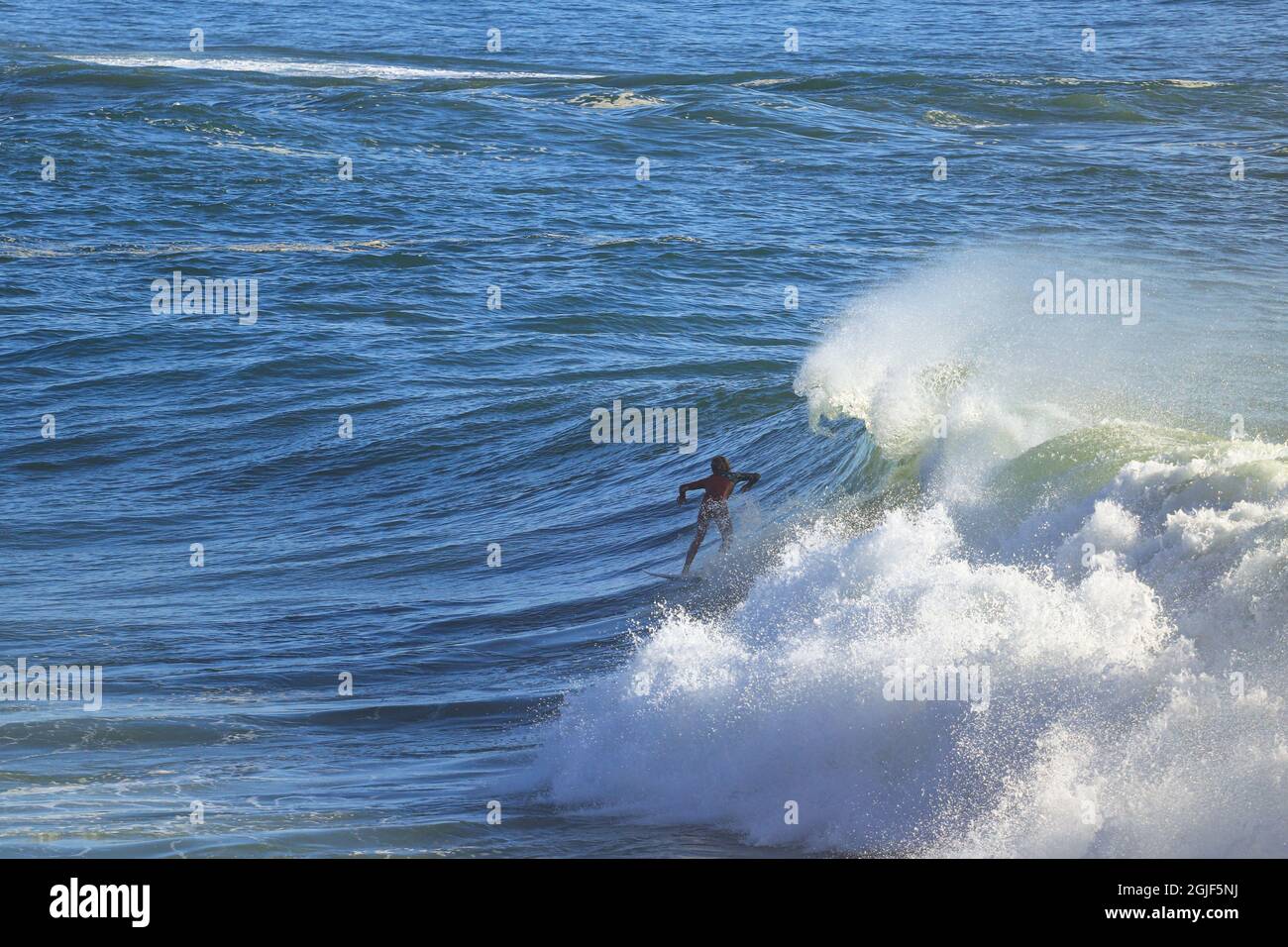 Surfer on a perfect big wave Stock Photo - Alamy