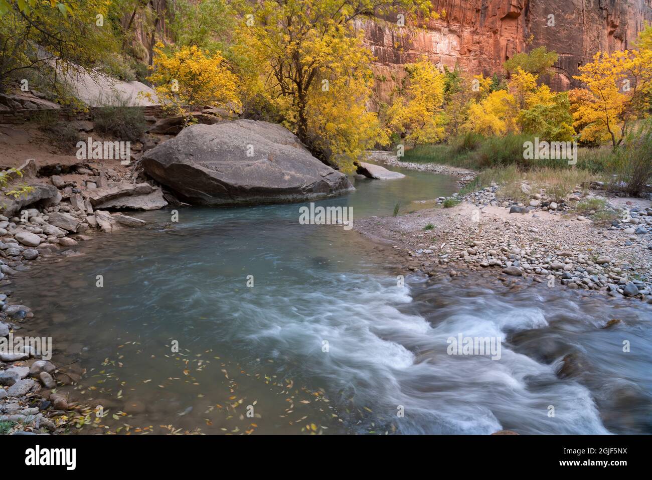 Fall foliage along virgin river hi-res stock photography and images - Alamy