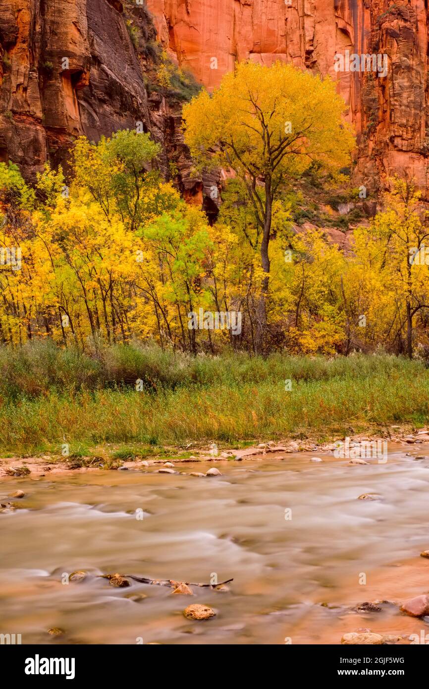 The fall zion national park hi-res stock photography and images - Alamy