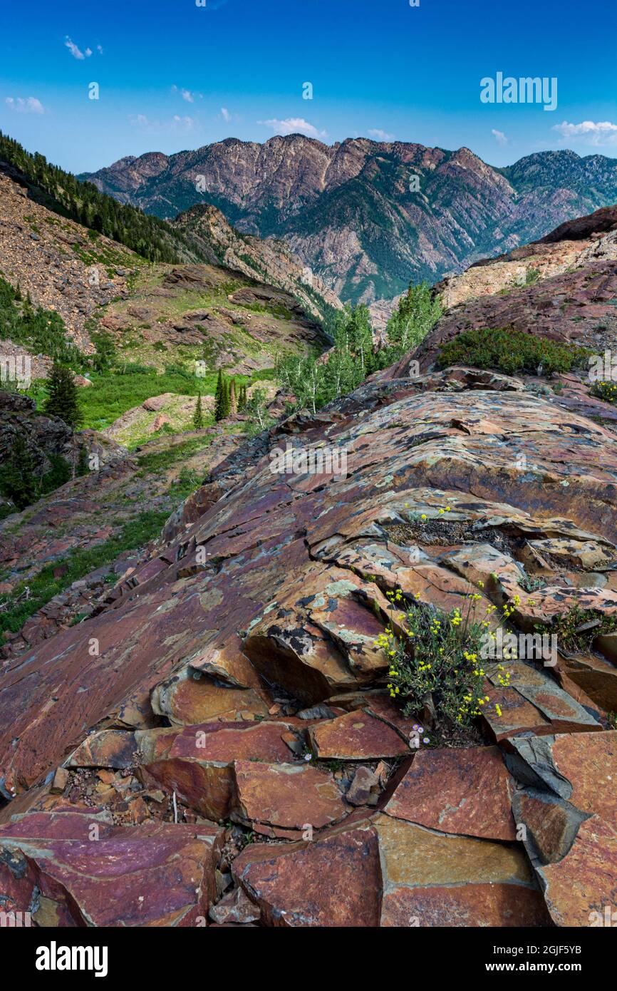 Big cottonwood canyon national forest hi-res stock photography and ...