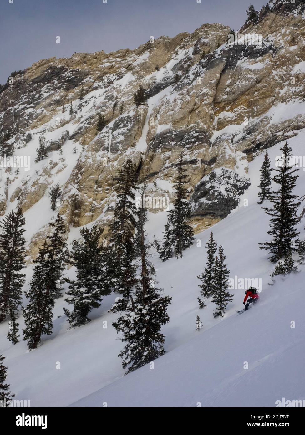 Powder Snow Avalanches