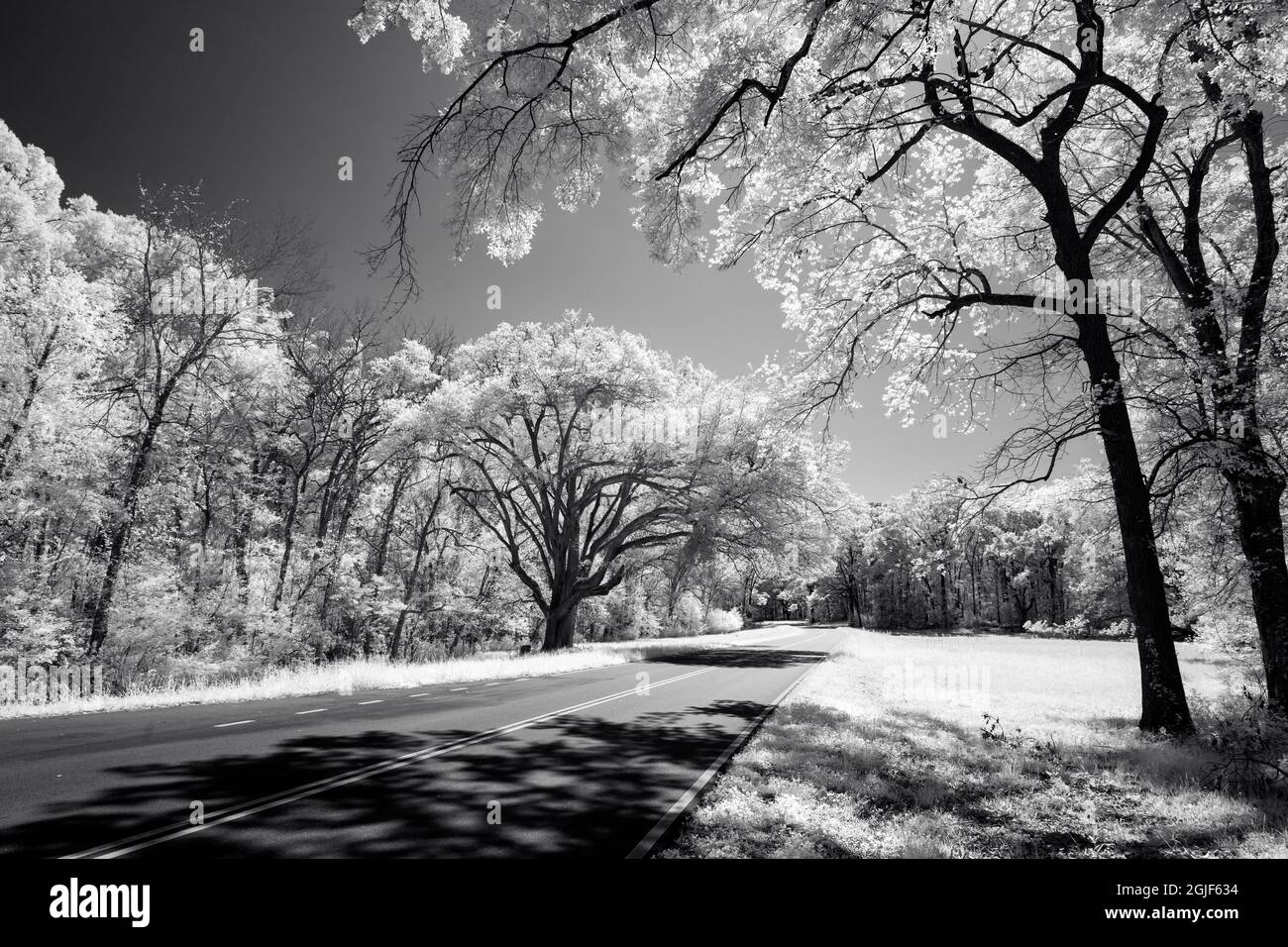 Highway natchez trace parkway hi-res stock photography and images - Alamy