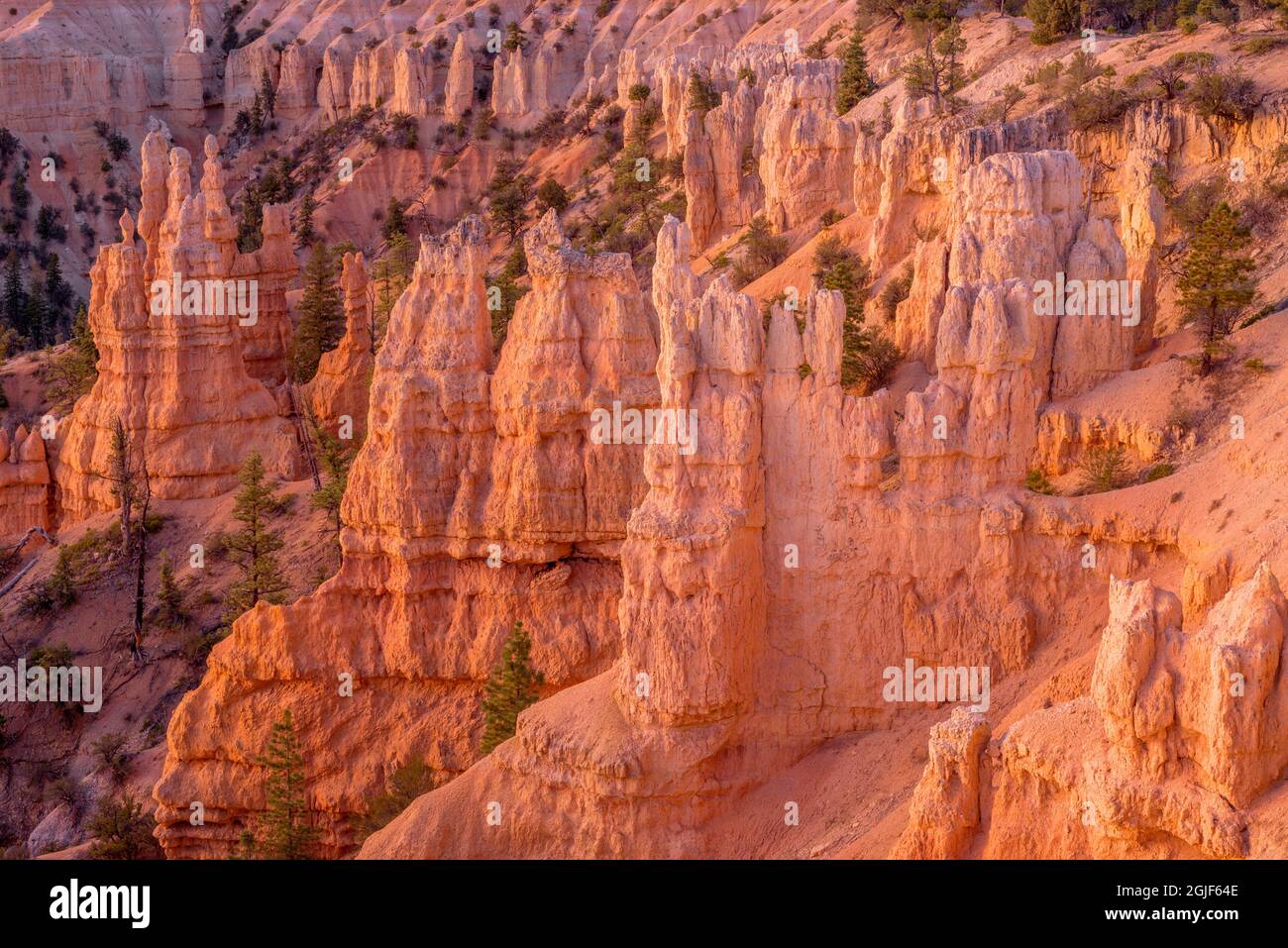 USA, Utah, Bryce Canyon National Park, Dawn view south from Fairyland ...