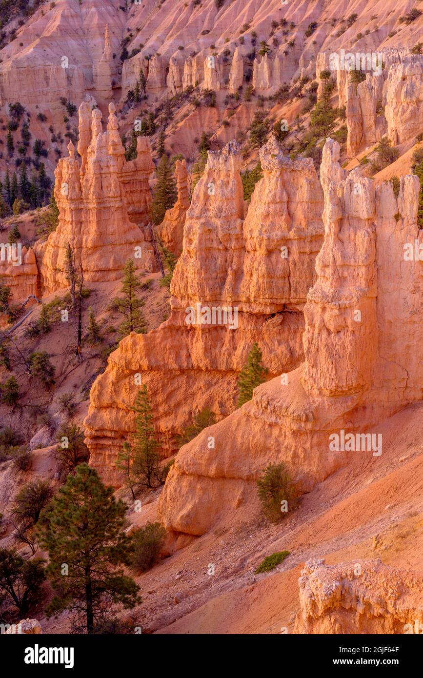USA, Utah, Bryce Canyon National Park, Dawn view south from Fairyland ...