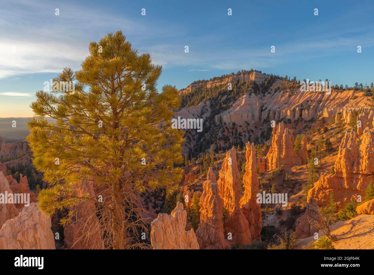 USA, Utah, Bryce Canyon National Park, View south at sunrise from ...