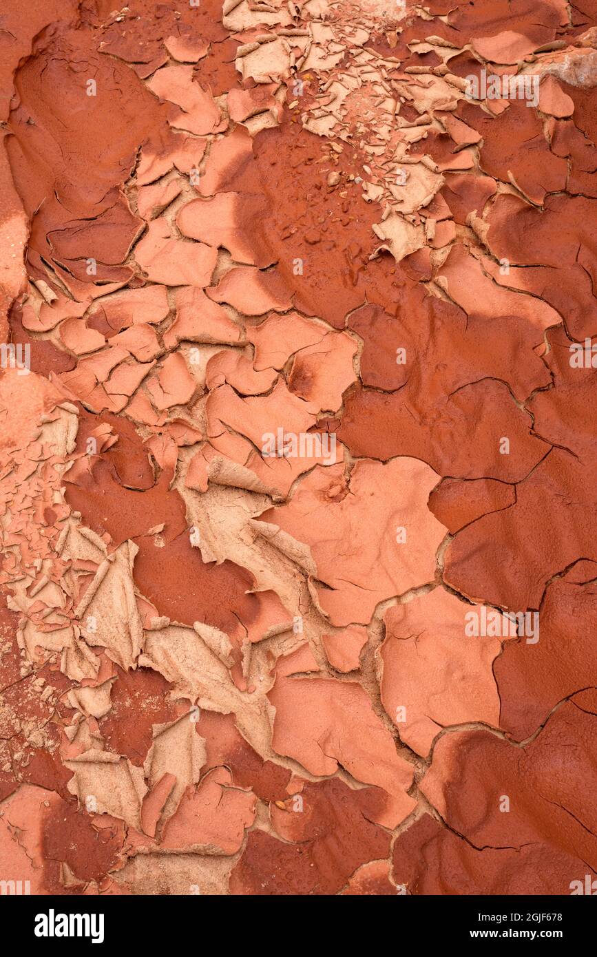 USA, Utah, Capitol Reef National Park, Drying mud on floor of Grand ...