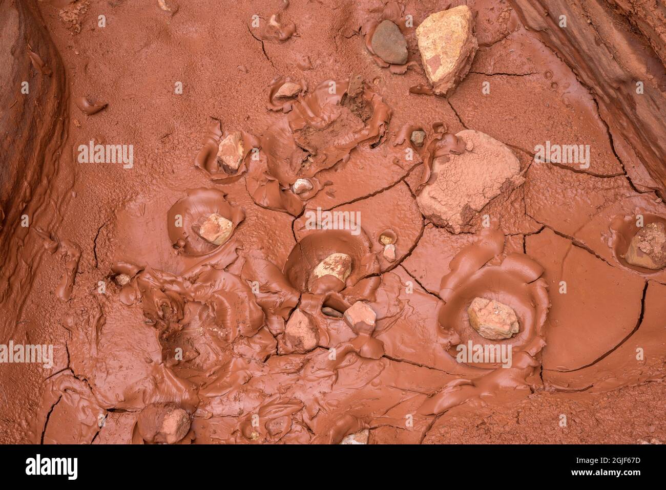 USA, Utah, Capitol Reef National Park, Drying mud on floor of Grand ...