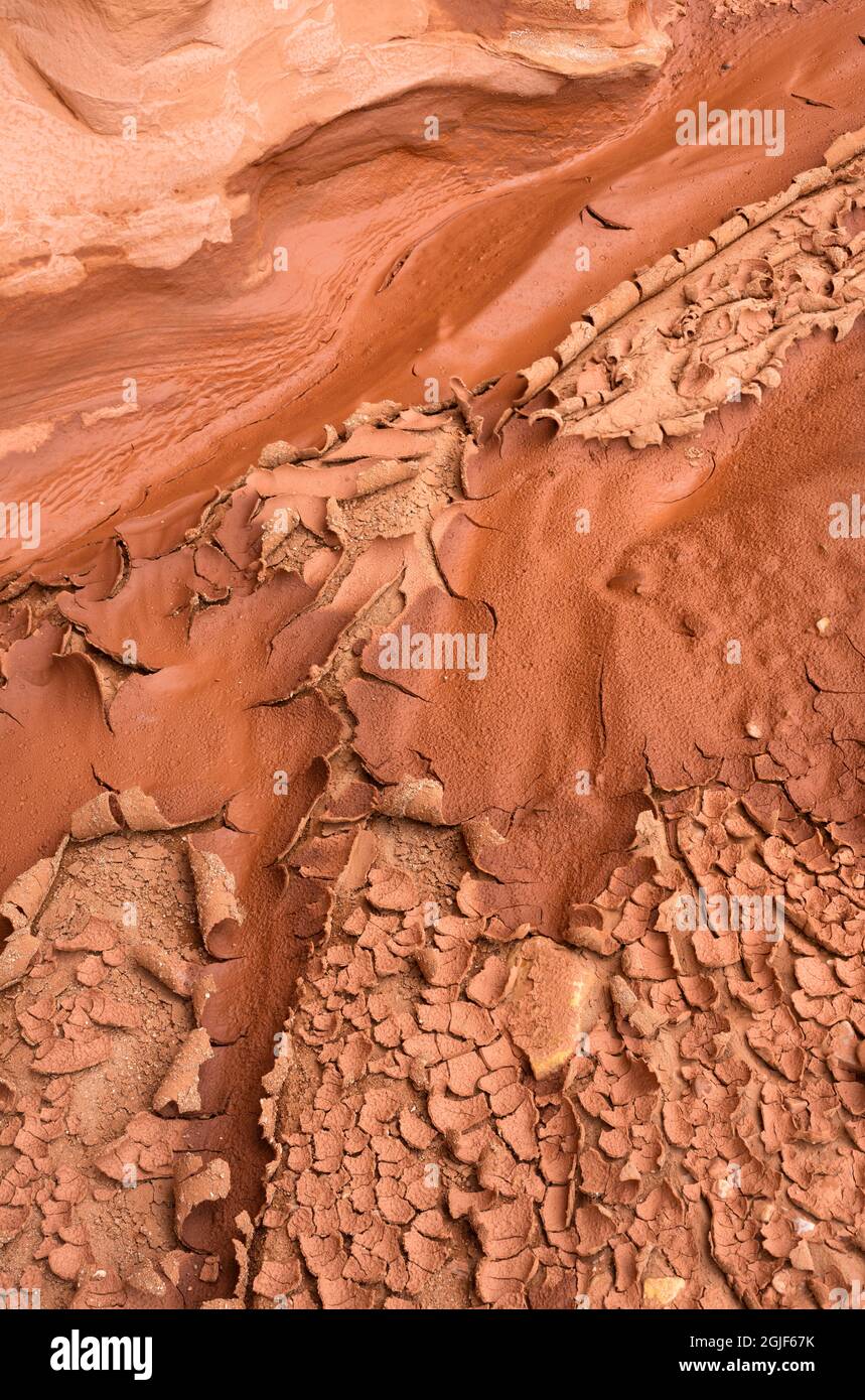 USA, Utah, Capitol Reef National Park, Drying mud on floor of Grand ...