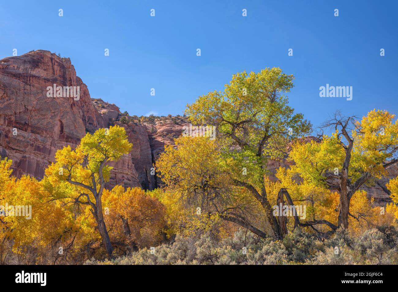 USA, Utah, Grand Staircase Escalante National Monument, Sandstone ...