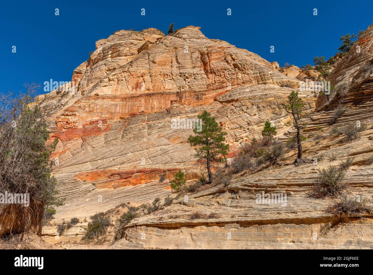 USA, Utah, Grand Staircase Escalante National Monument, Navajo ...