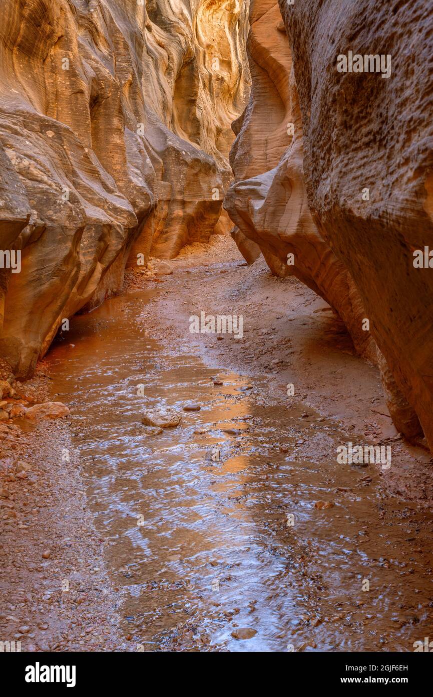USA, Utah, Grand Staircase Escalante National Monument; Willis Creek ...